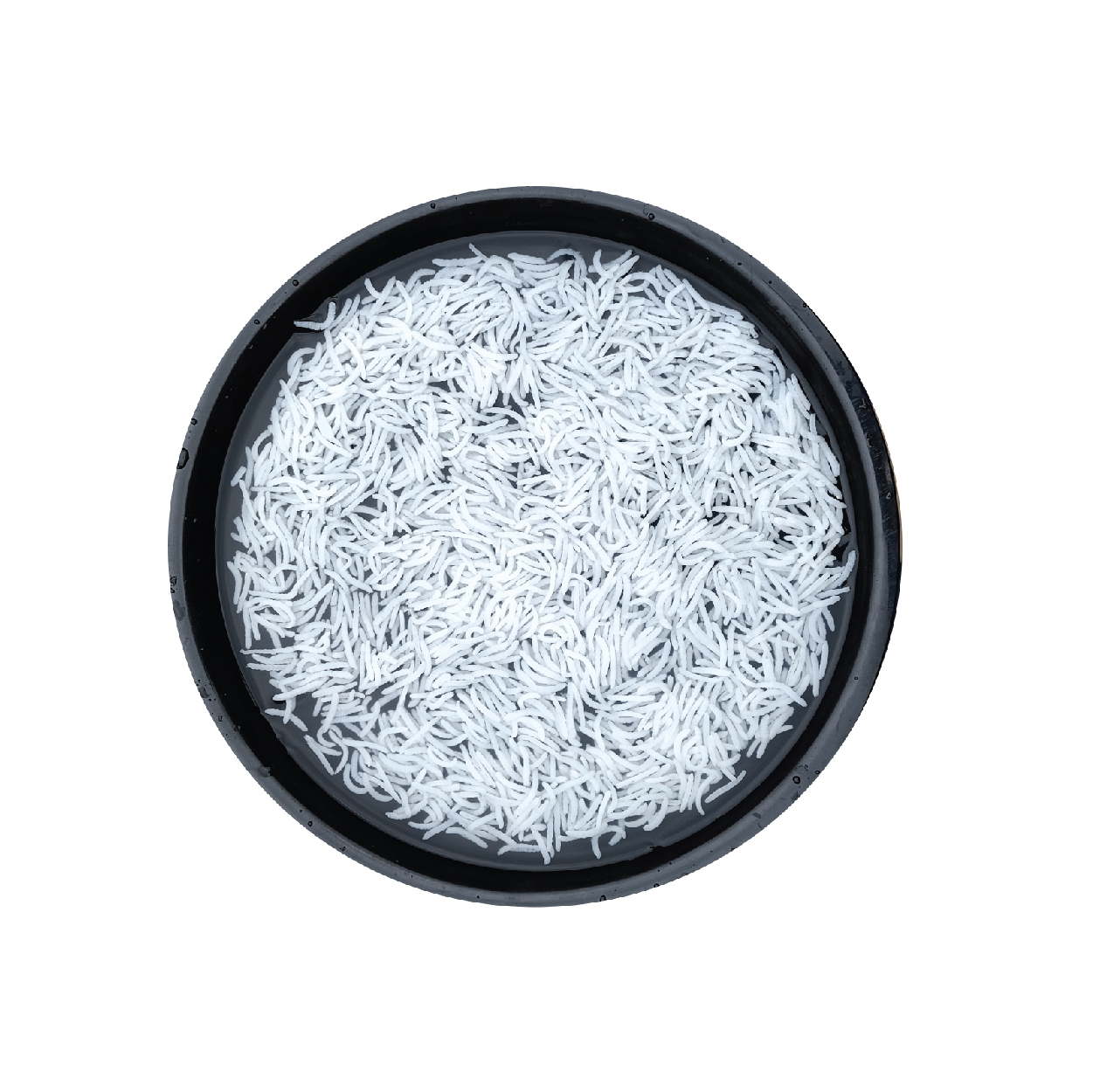 Why Tohana’s 1121 Basmati Rice is World-Famous