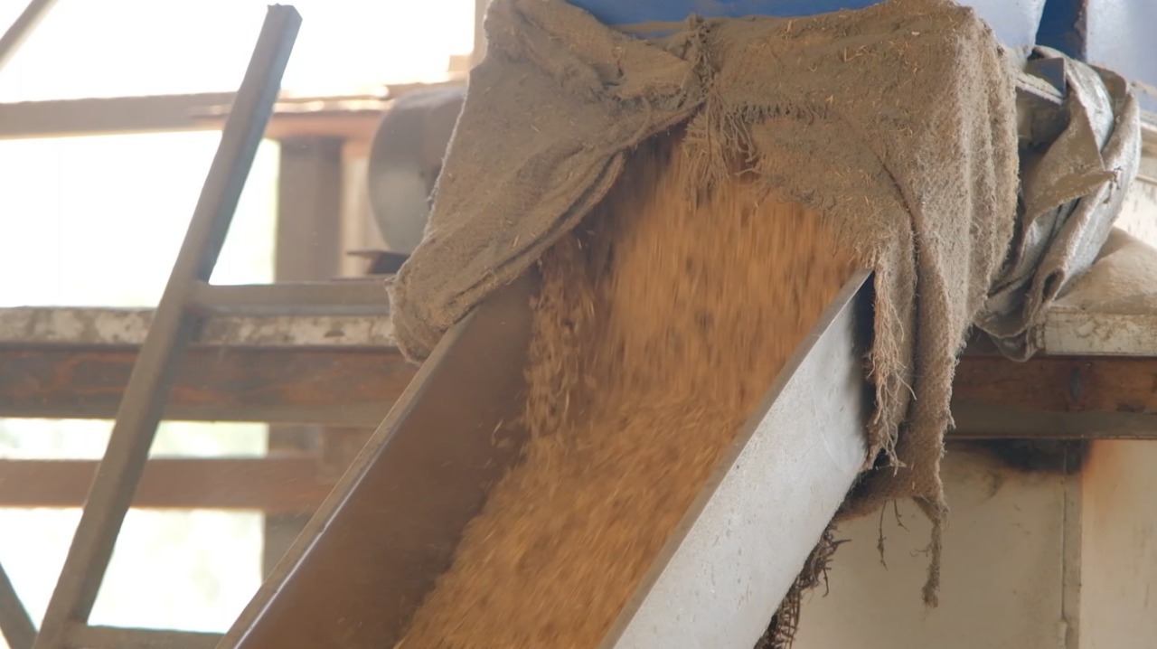 Rice Mills in Haryana | Best Basmati Rice Mill in India