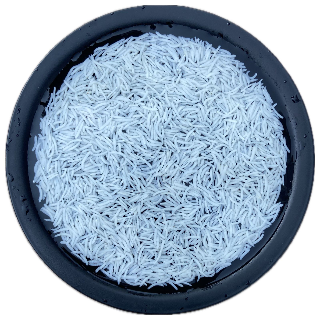 Why Tohana’s 1121 Basmati Rice is World-Famous